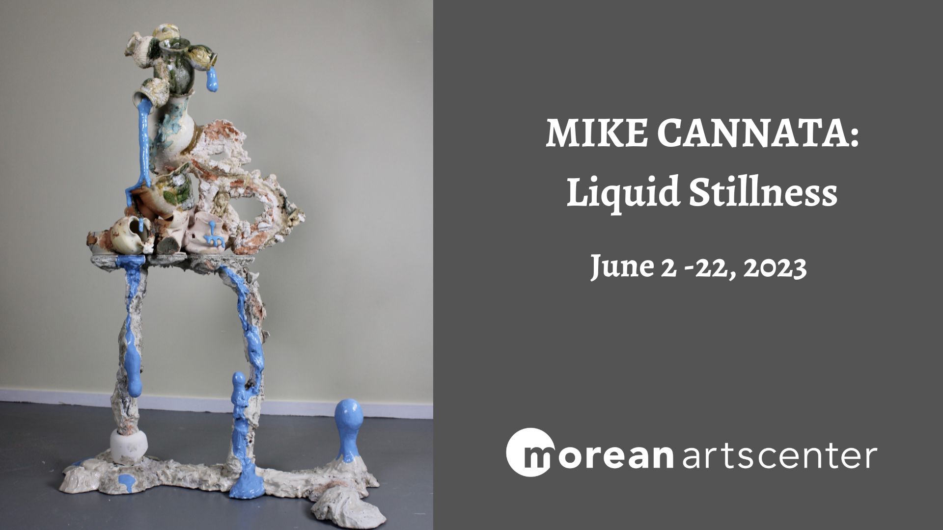 Mike Cannata: Liquid Stillness - Morean Arts Center