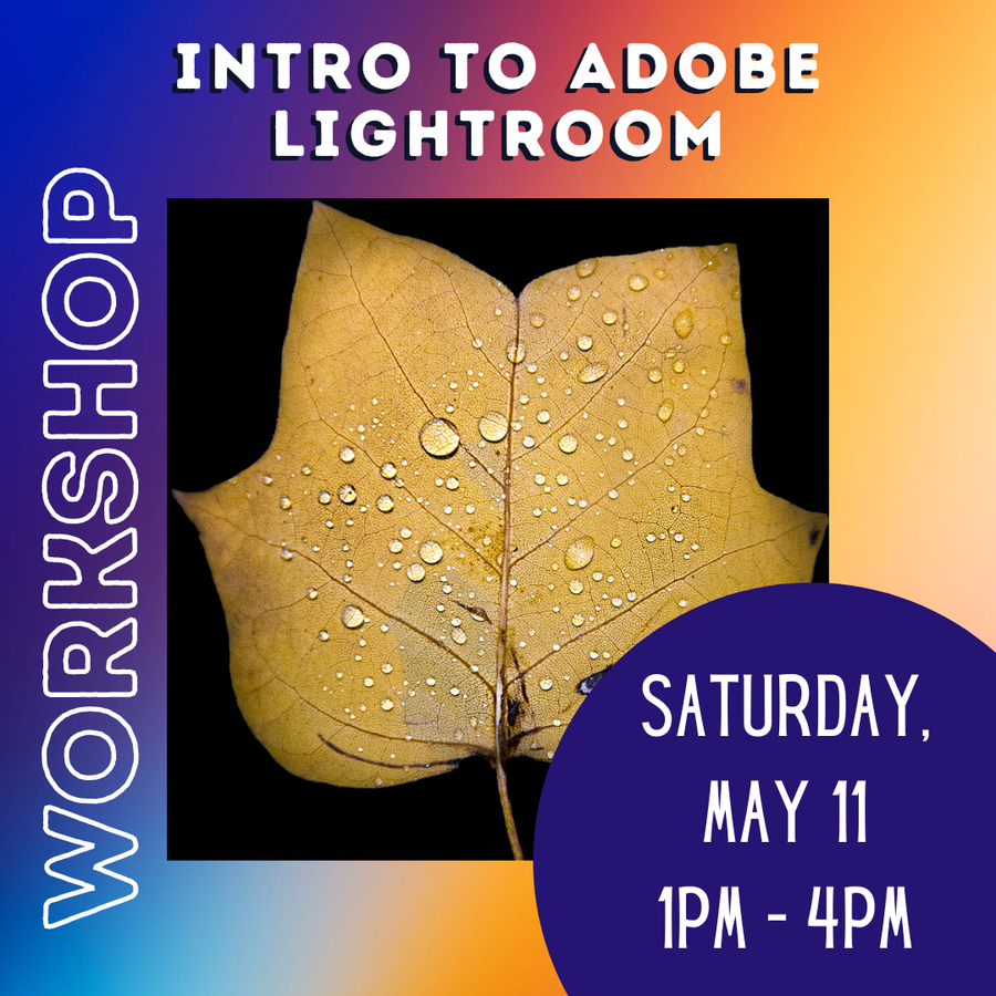 Introduction to Adobe Lightroom Workshop - Morean Arts Center