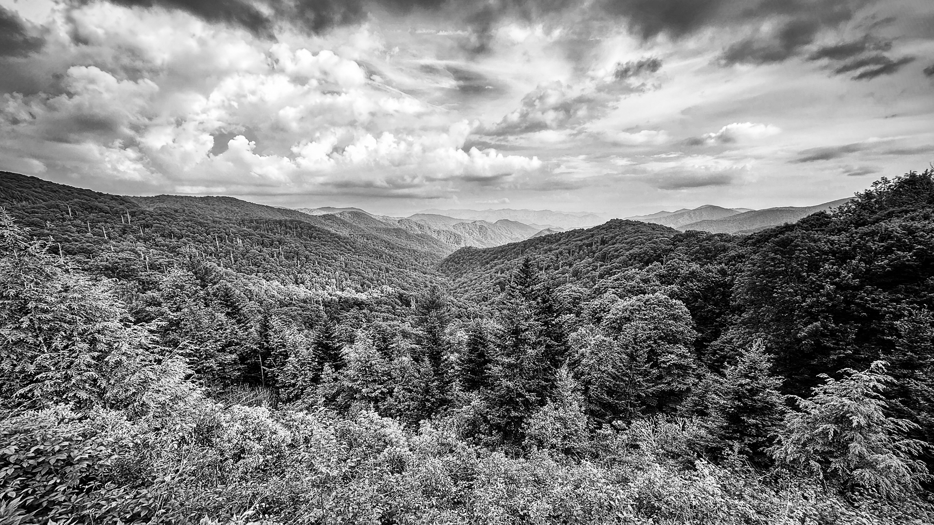 iPhone Masterclass with Michelle Cornejo - Morean Arts Center